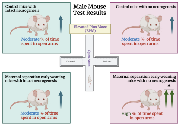 Early life adversity can induce pathological avoidance behaviors in mice, but males with ...